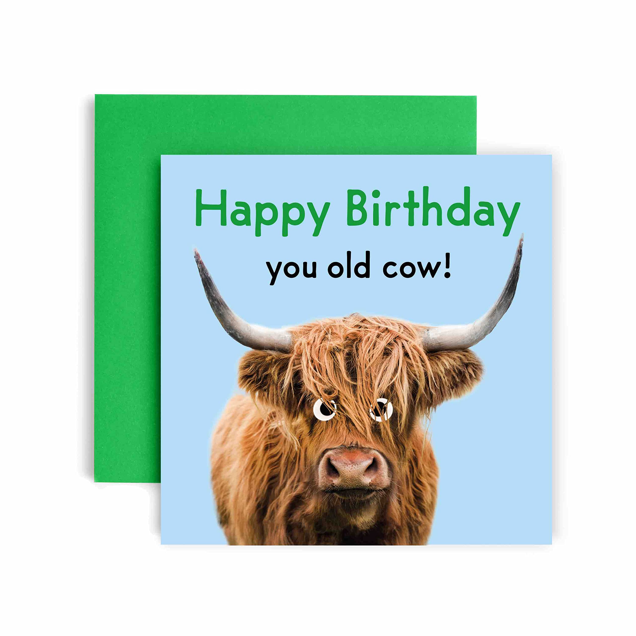Cow Funny Birthday Cards SH019 Funny Card Highland Cow Let Your Hair
