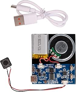 Amazon.com: Recorder Module -16MB Push Button Activated Recording ...