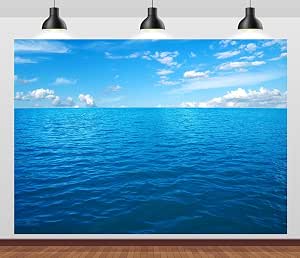 Amazon.com : BELECO 7x5ft Fabric Ocean and Sky Backdrop Blue Sky White ...