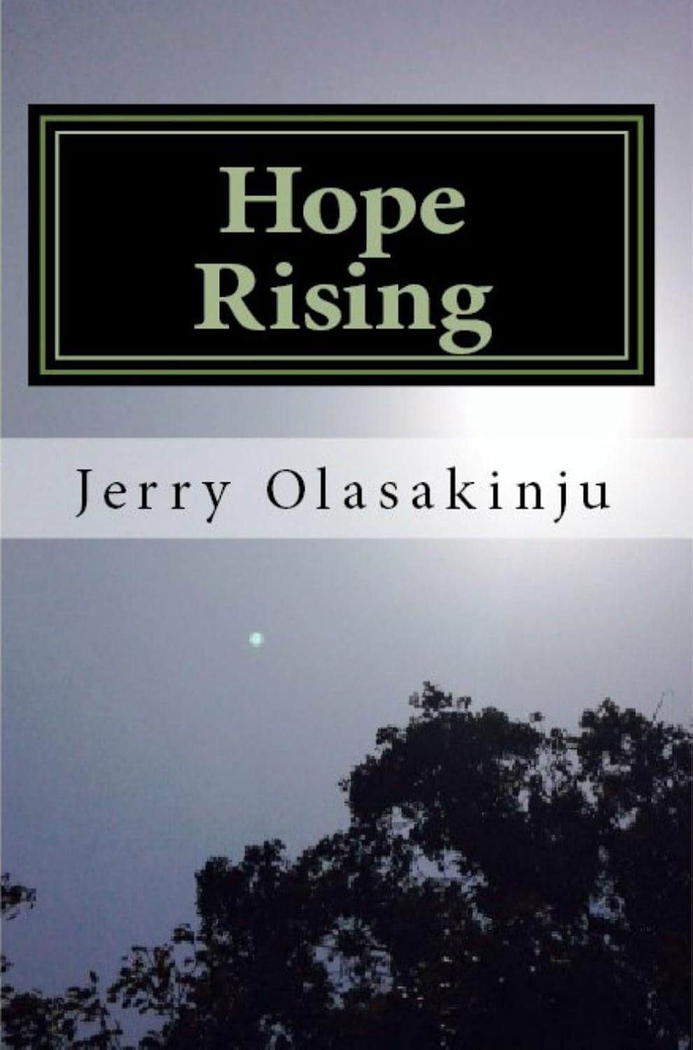 Amazon.com: Hope Rising eBook : Olasakinju, Jerry: Kindle Store