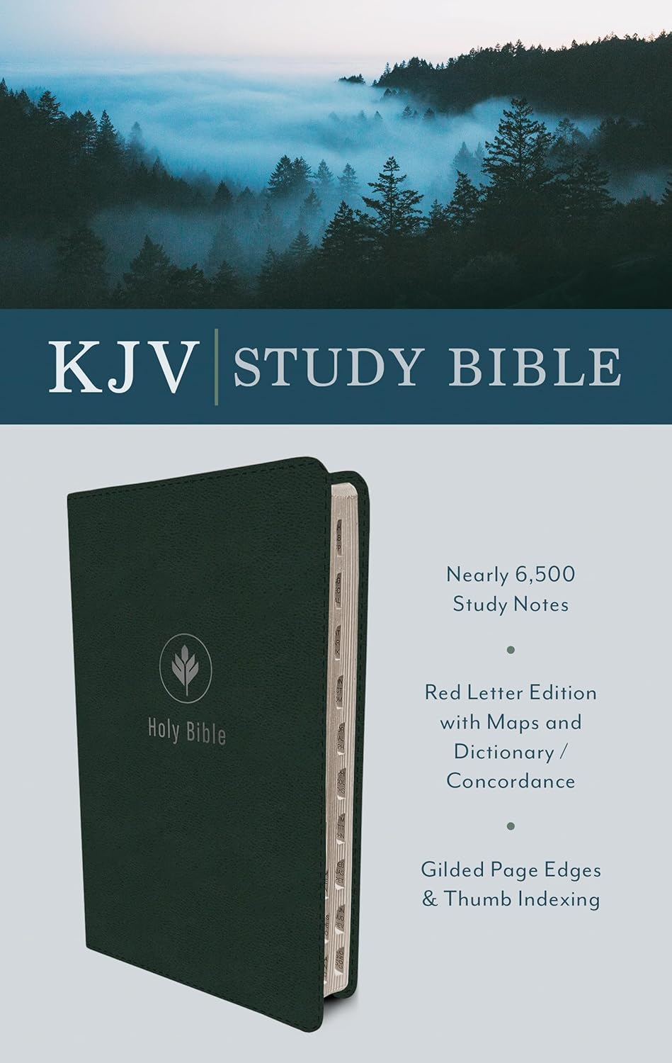 The KJV Study Bible (Indexed) [Evergreen Fog]: Barbour Bibles ...