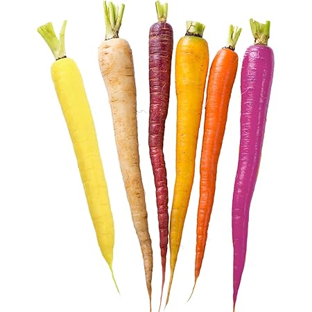 Amazon.com : Seed Needs, Kaleidoscope / Rainbow Blend Carrot Seeds for ...