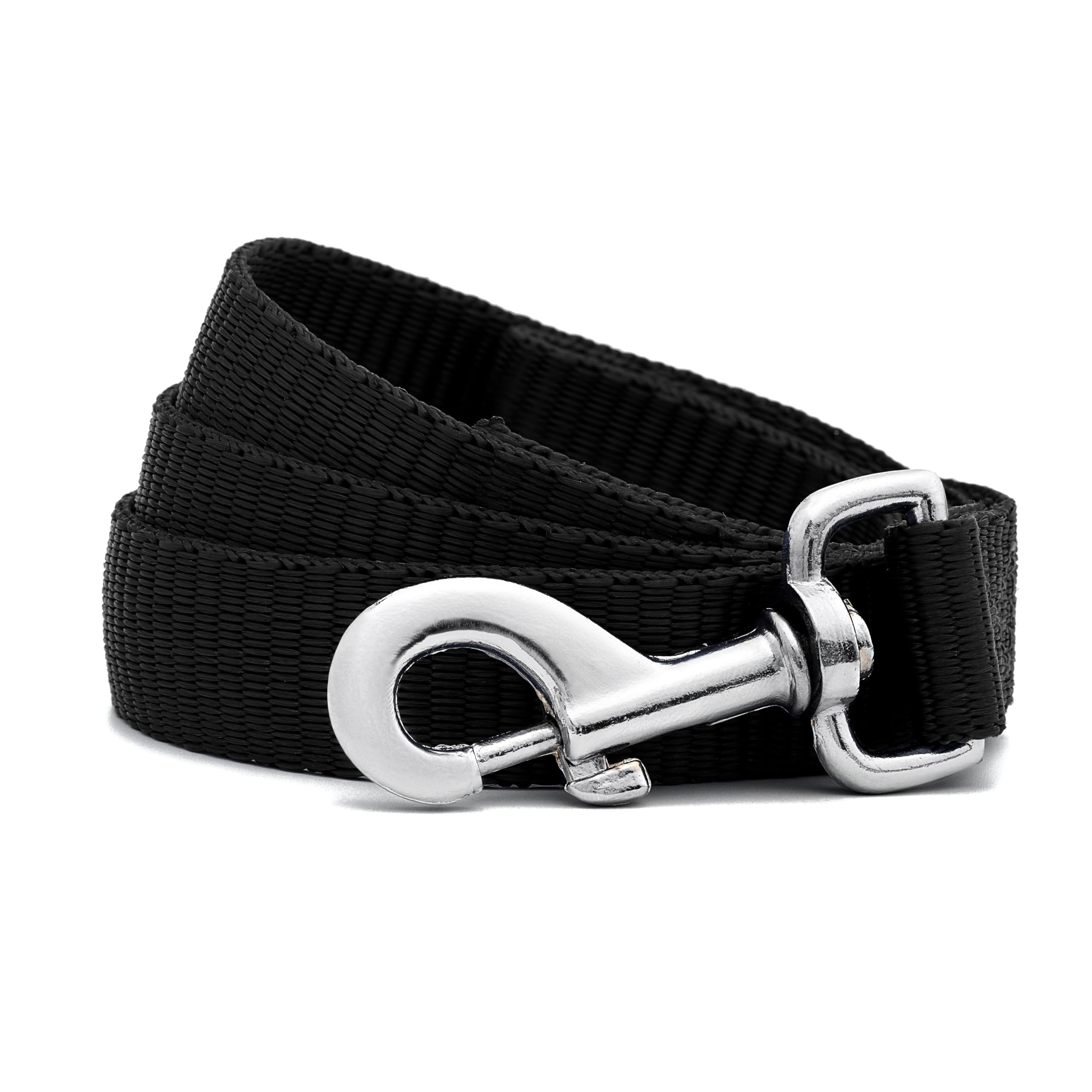 Amazon.com : Dog Leash Strong Traditional Style and Durable Nylon ...