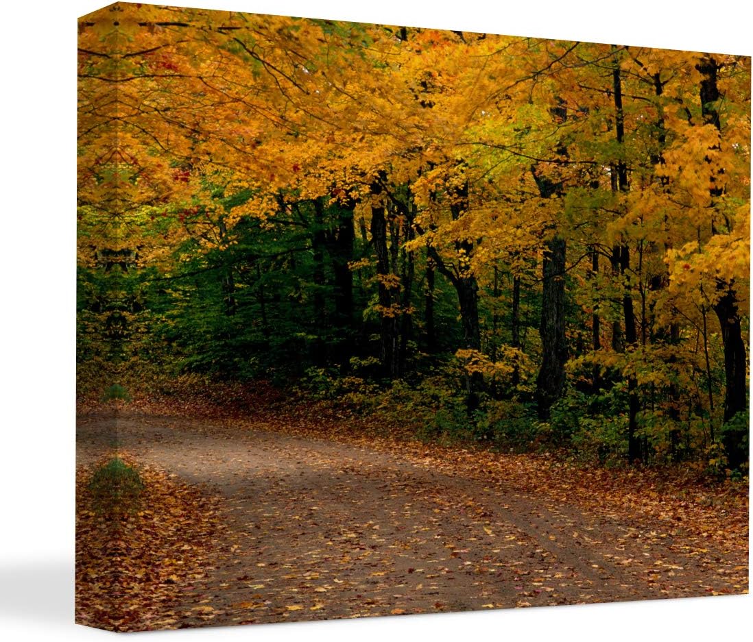 Amazon.com: BuildASign Your Photo on Custom Personalized Canvas Prints ...