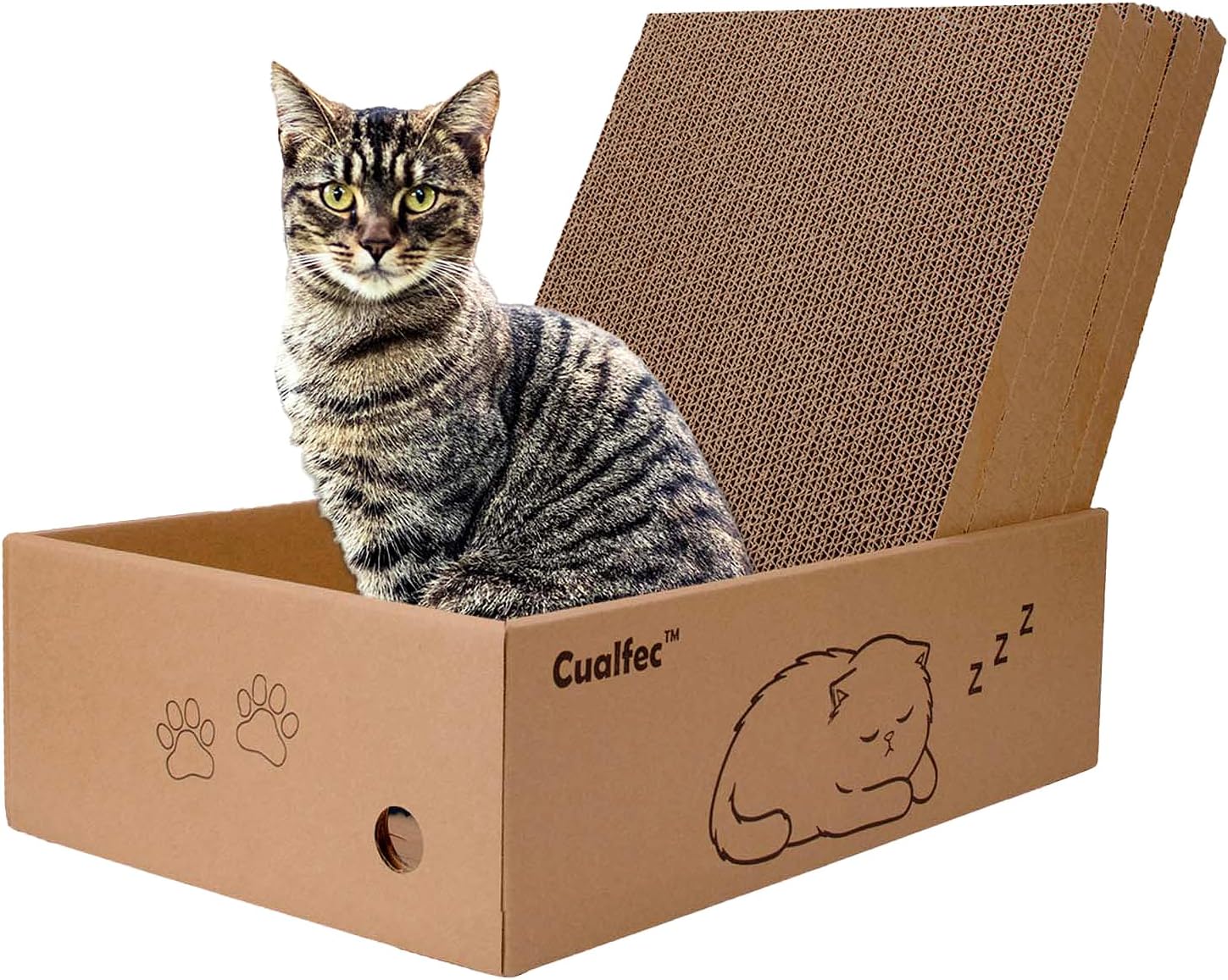 Cualfec Cat Scratch Box with 5 Pcs Large Cat Scratch Boards for Indoor ...