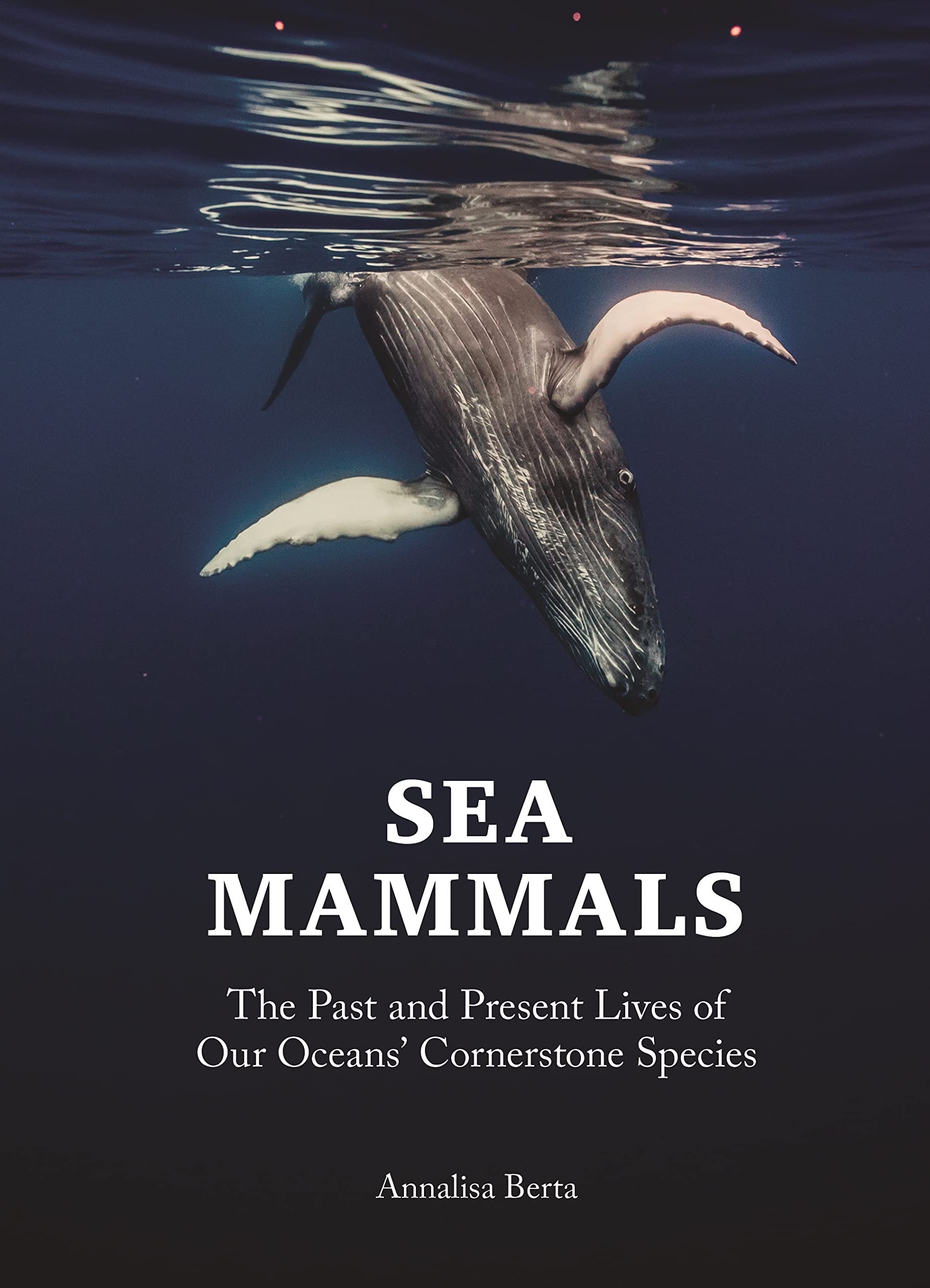 Sea Mammals: The Past and Present Lives of Our Oceans’ Cornerstone ...