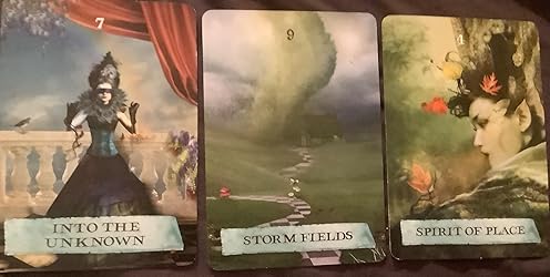 Amazon.com: The Enchanted Map Oracle Cards: A 54-Card Oracle Deck for ...