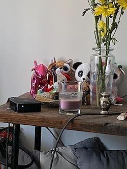 Apple TV:Amazon.com:Appstore for Android