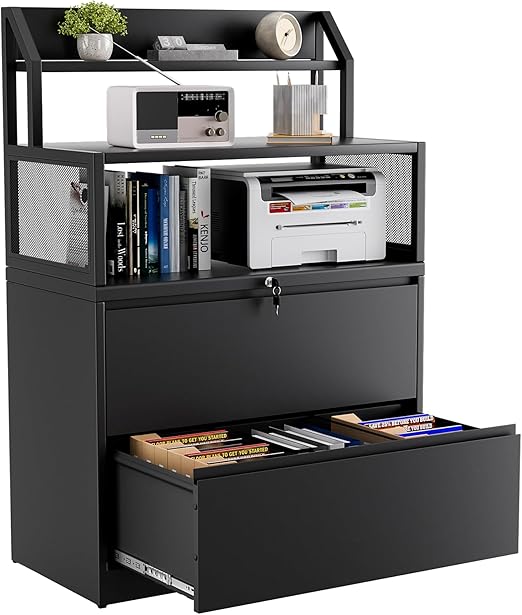 Amazon.com: Rophefx File Cabinet with Shelves, 2 Drawers Lateral File ...
