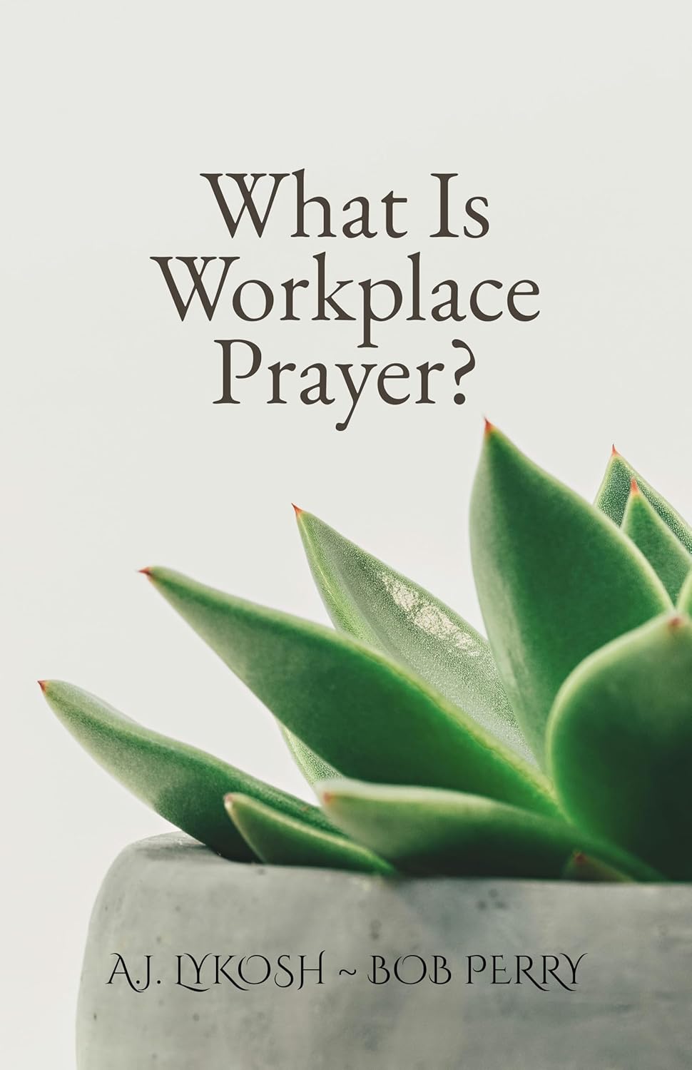 What Is Workplace Prayer? - Kindle edition by Lykosh, A.J., Perry, Bob ...