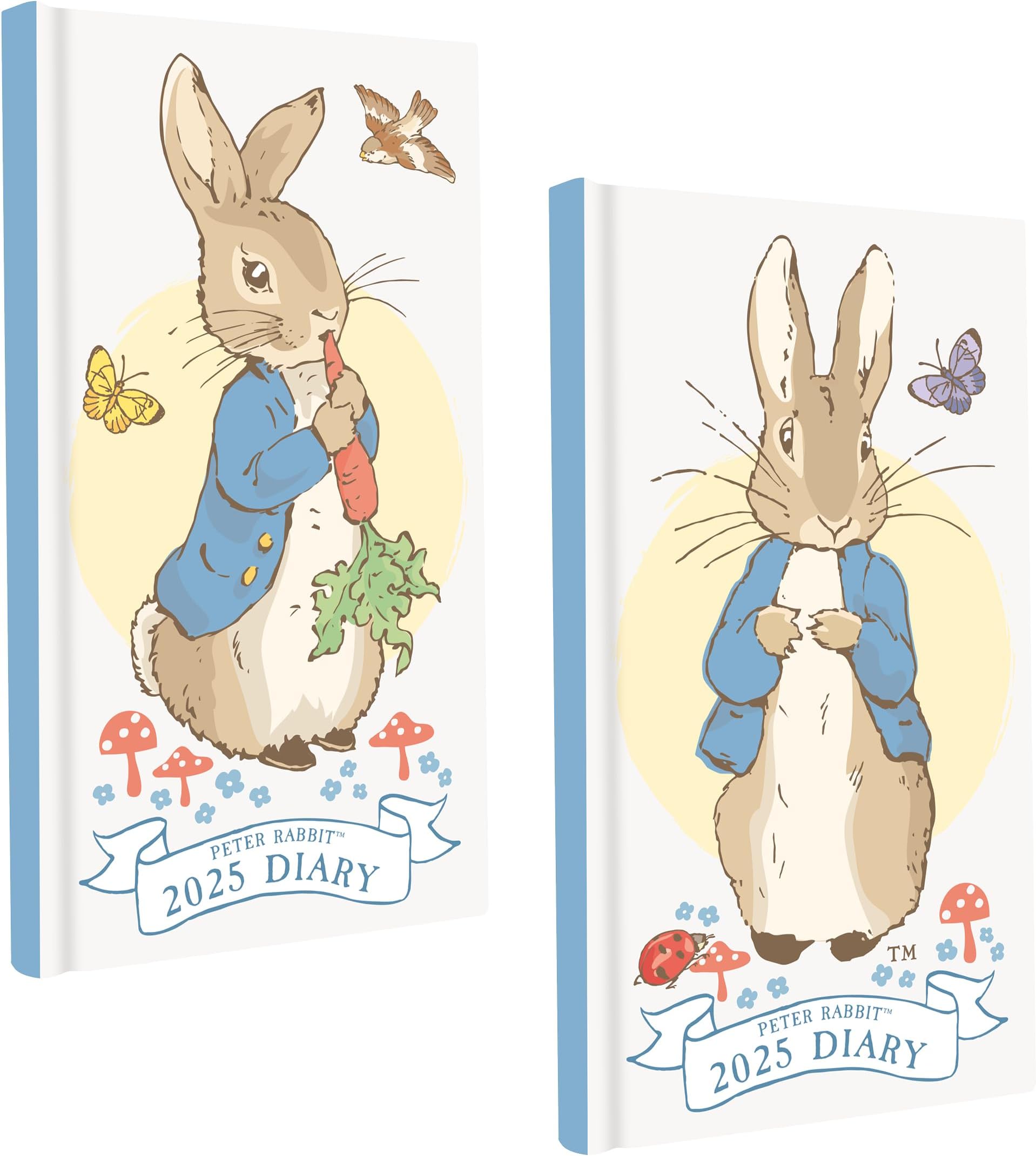 Peter Rabbit 2025 A5 Weekly View Diary : Amazon.co.uk: Stationery ...