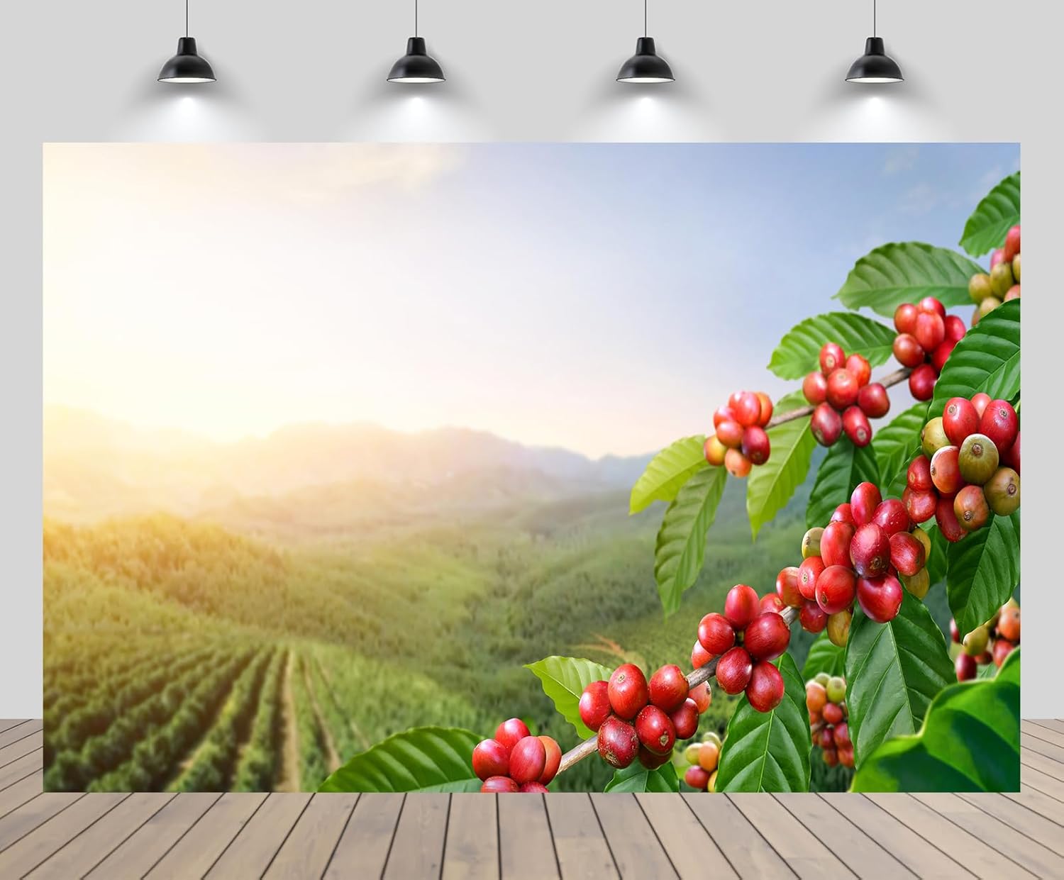 Amazon.com : CHNYWORK 17ftx10ft Coffee Farm Backdrop Coffee Tree Fresh ...