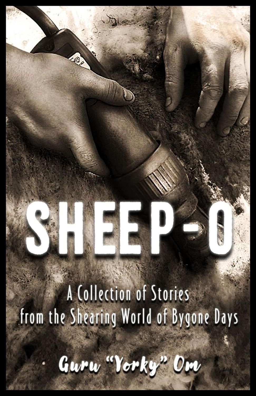 Amazon.com: Sheep-O: A Collection of Stories from the Shearing World of ...