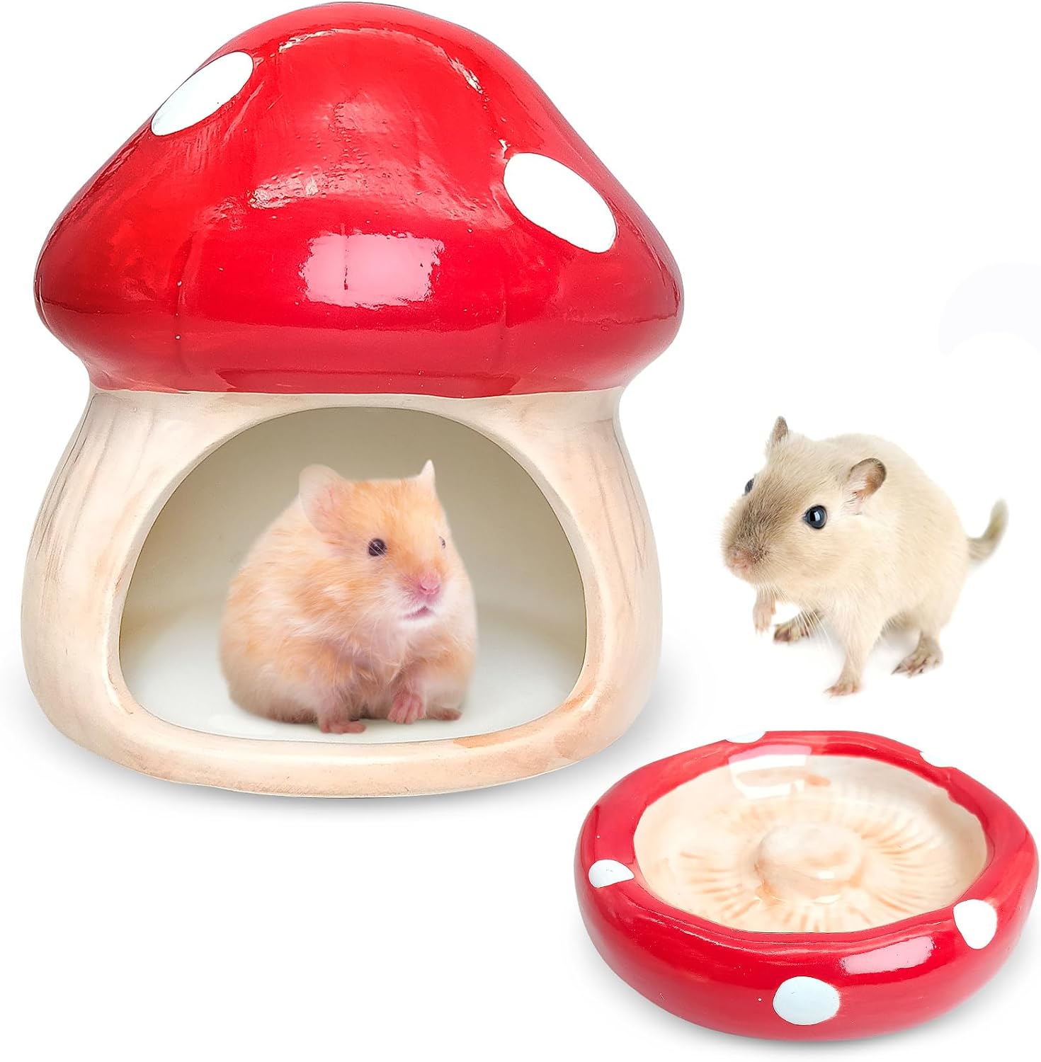 Amazon.com : BNOSDM Ceramic Hamster Hideout and Food Bowl Set Cute ...