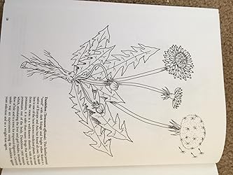 Medicinal Plants Coloring Book (Dover Nature Coloring Book): Arbel ...