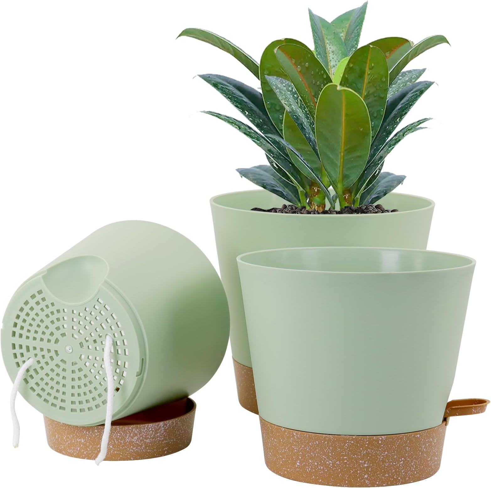 Amazon.com: HBServices USA 6" Self Watering + Self Aerating High ...