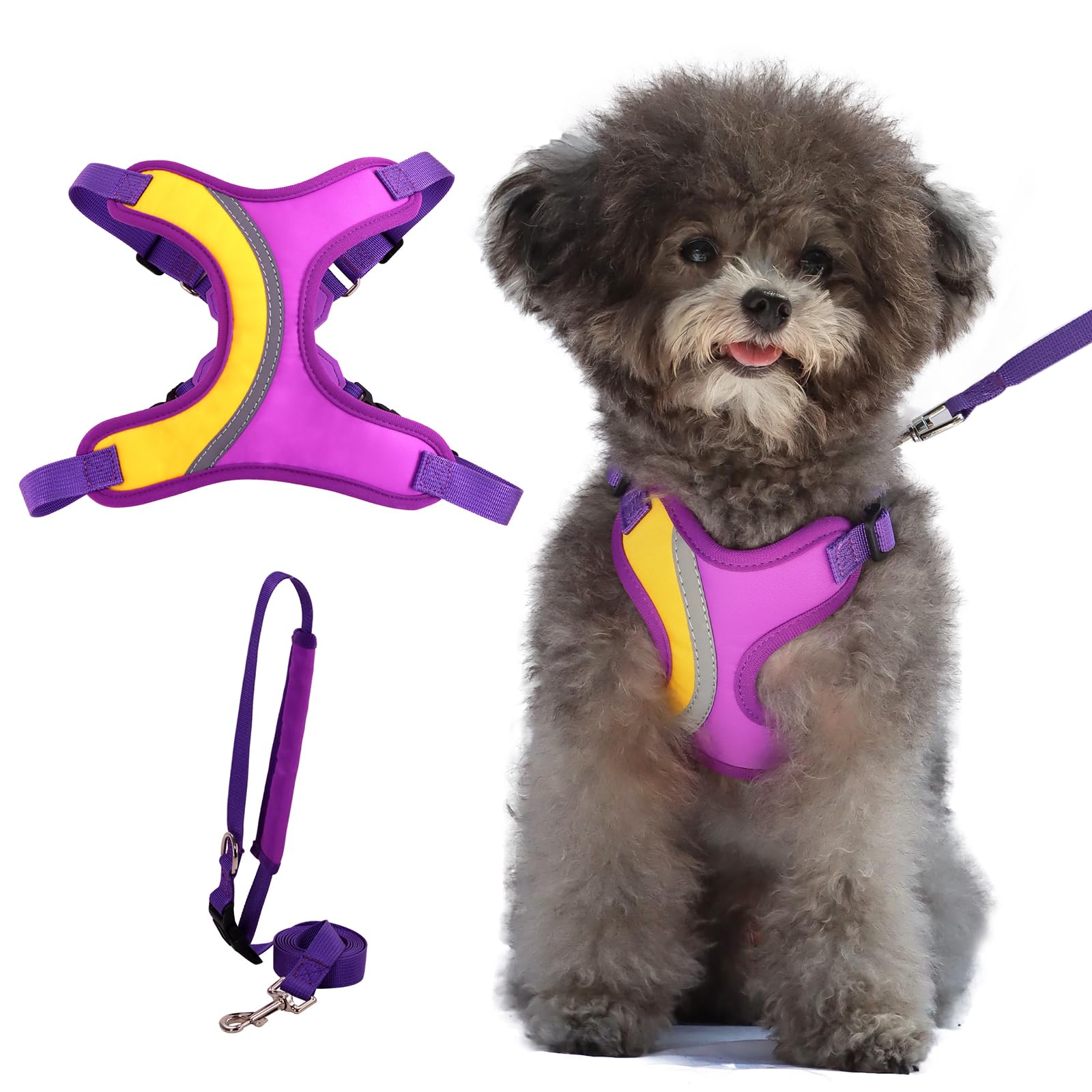 BEYFIRG_ Dog Harness and Leash Set for Small Sized Dogs, Lightweight ...