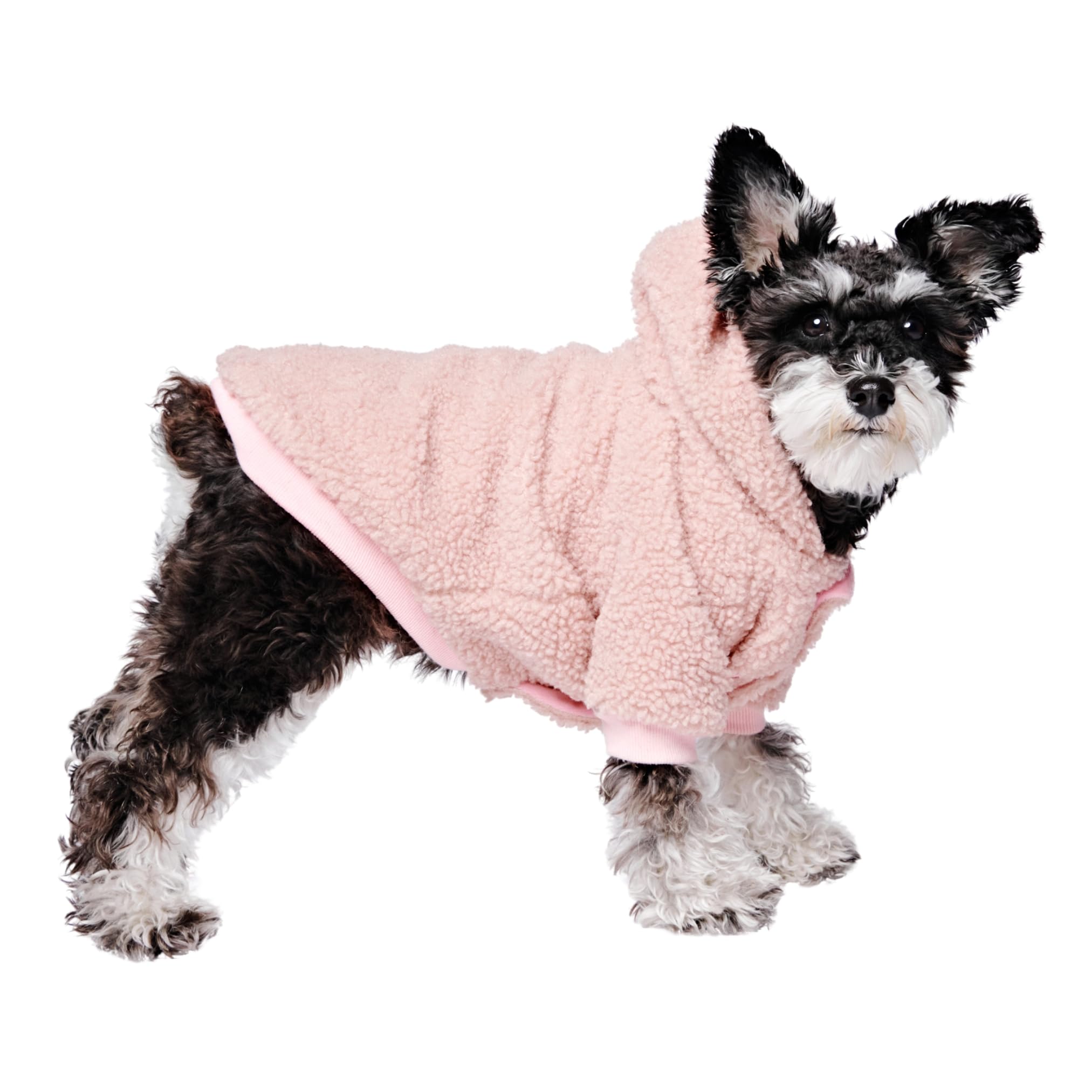Amazon.com : Spark Paws Teddy Sherpa Dog Sweater, Hooded Vest Coat with ...