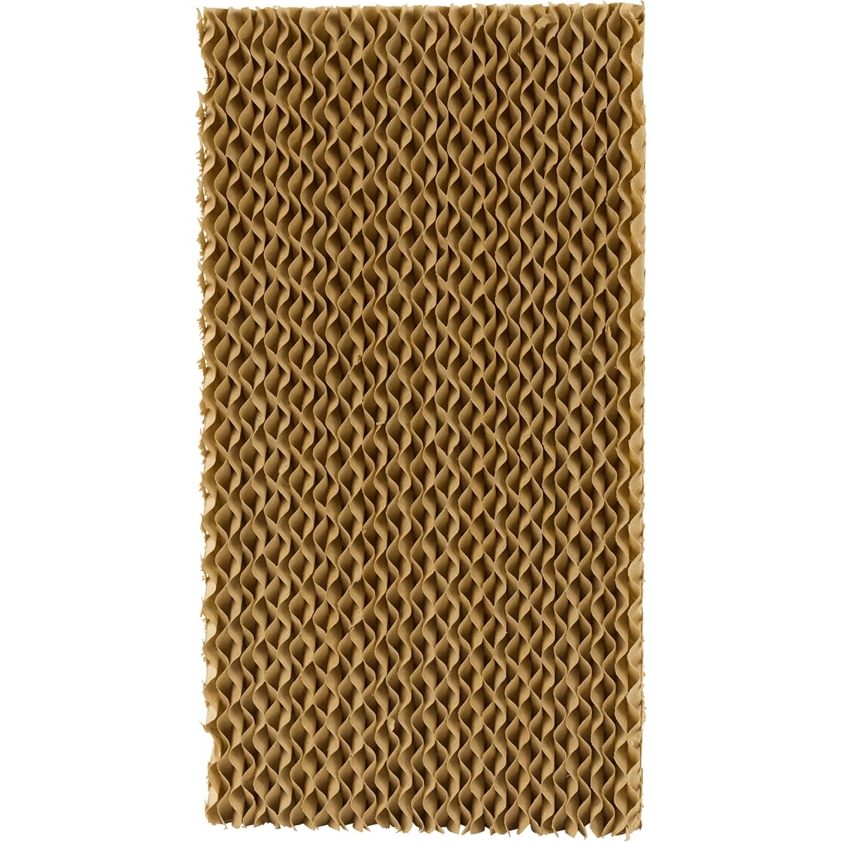 Amazon.com: Honeywell CS071AE Replacement Cooling Pad : Tools & Home ...