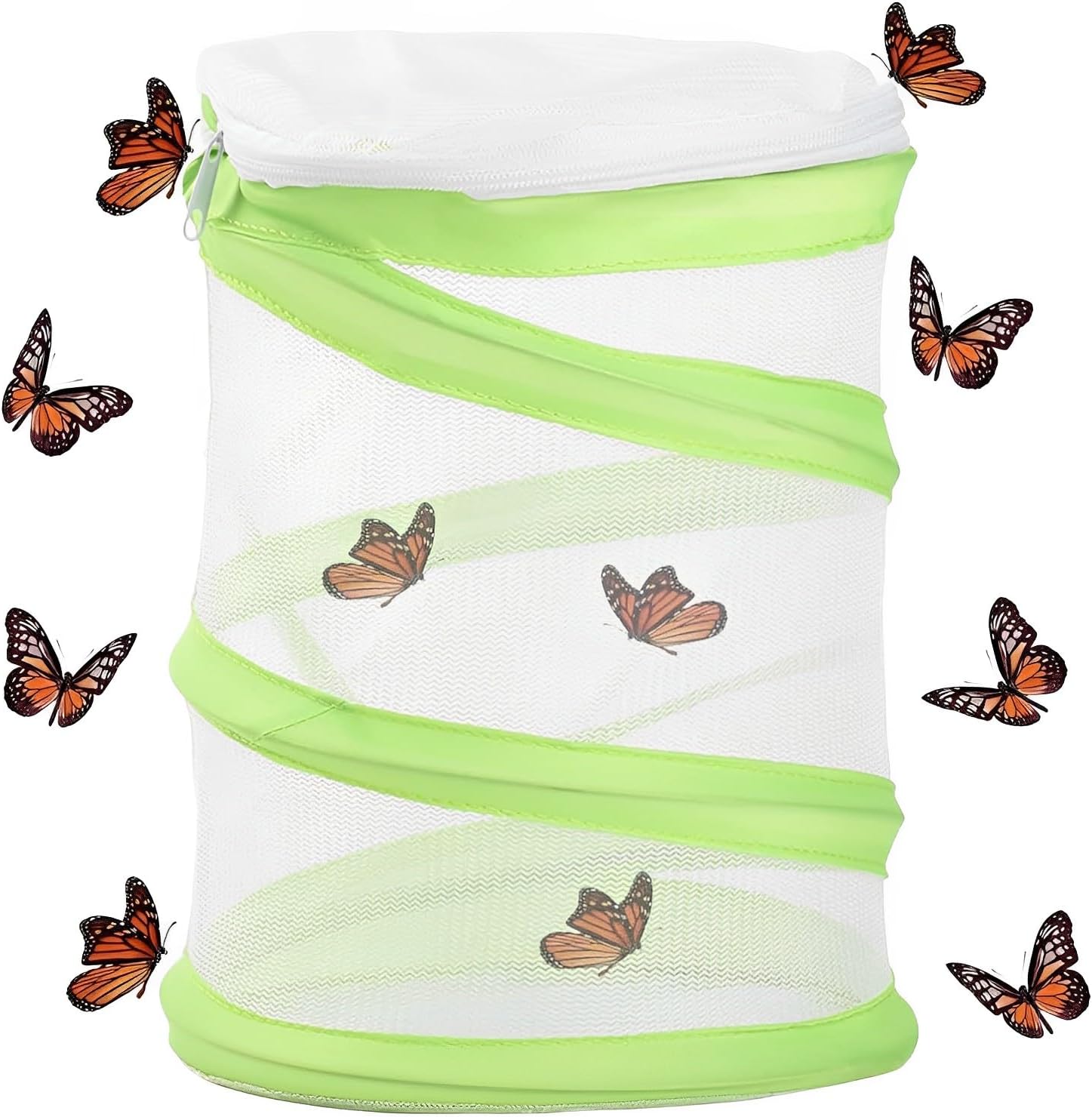 Stick Insect Starter Kit,Collapsible Bug Catcher Net Butterfly Habitat ...