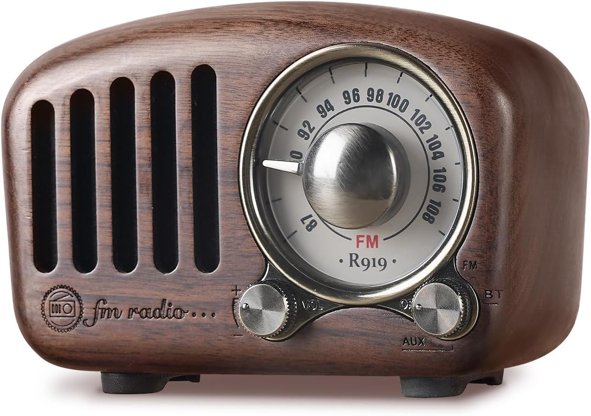 Amazon.com: Oncheer Portable Vintage Radio Retro Bluetooth Speaker, FM ...