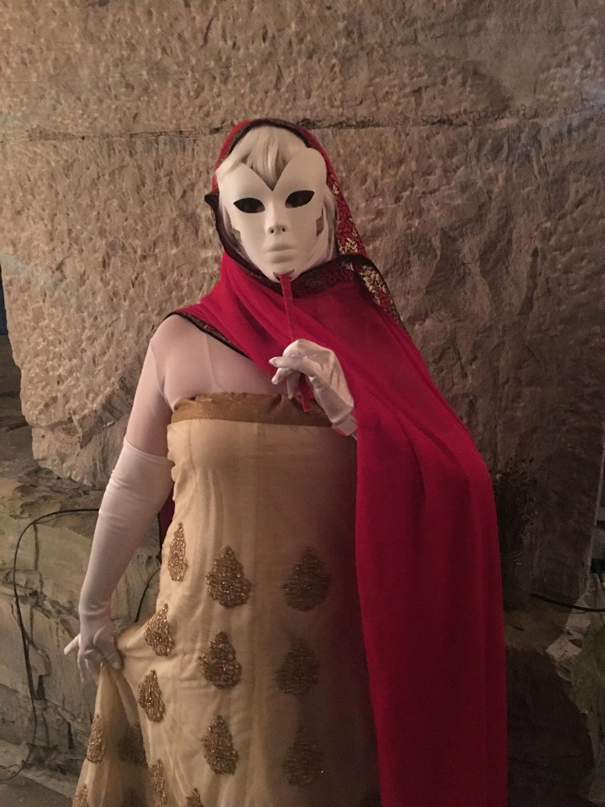 Amazon.com: Mask It 71020 Designer Mask 8-Inch, White on Wooden Dowel ...