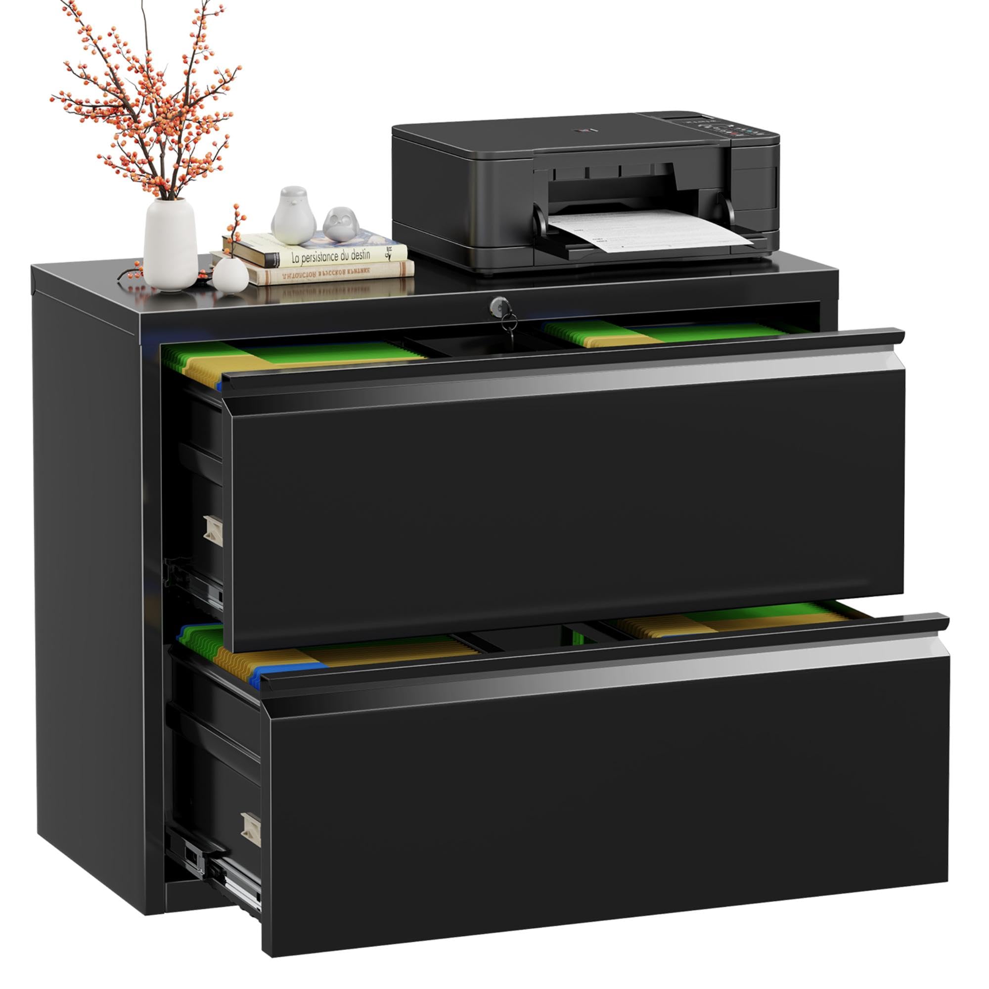 Amazon.com: INTERGREAT Lateral File Cabinet 2 Drawer Black, Metal 2 ...