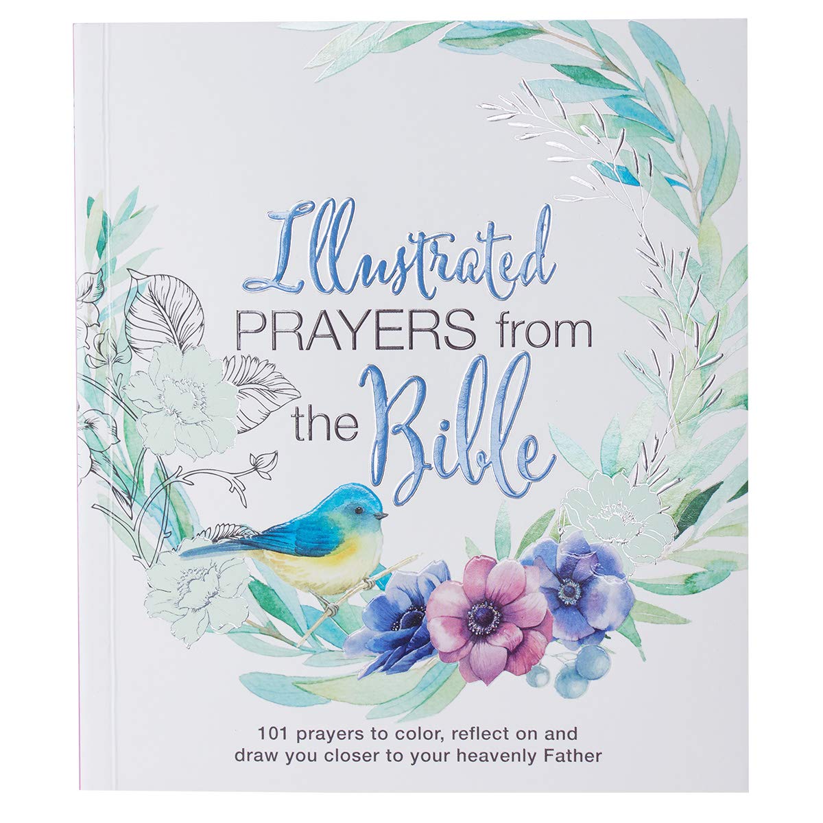 Amazon.com: Illustrated Prayers from the Bible: A Creative Prayer Book ...