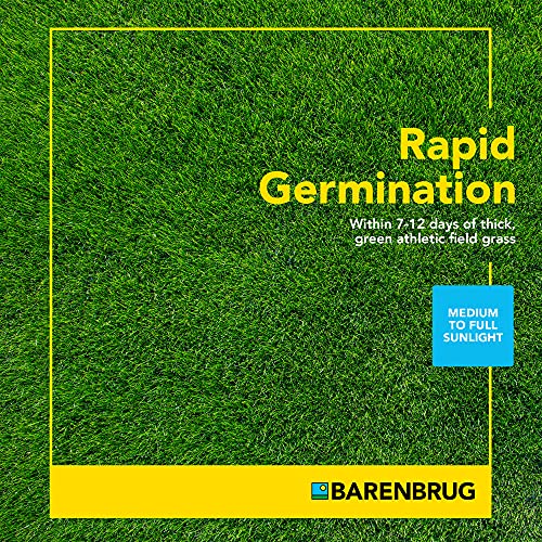 The 30 Best Barenbrug Grass Seeds of 2026 [Verified] - Cherry Picks