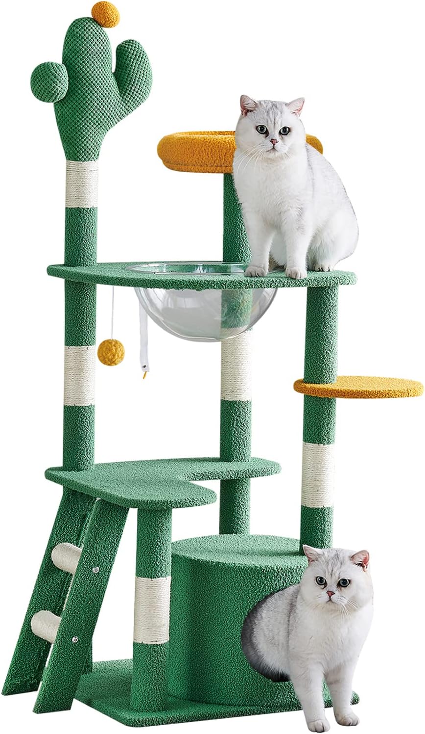 Amazon.com : YARUOMY Cactus Cat Tree Large Cat Tower for Indoor Cats，53 ...