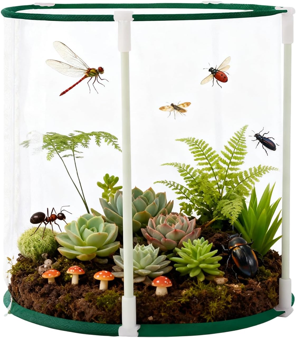 Butterfly Enclosure - Breathable Clear Heavy Duty Outdoor Terrarium ...