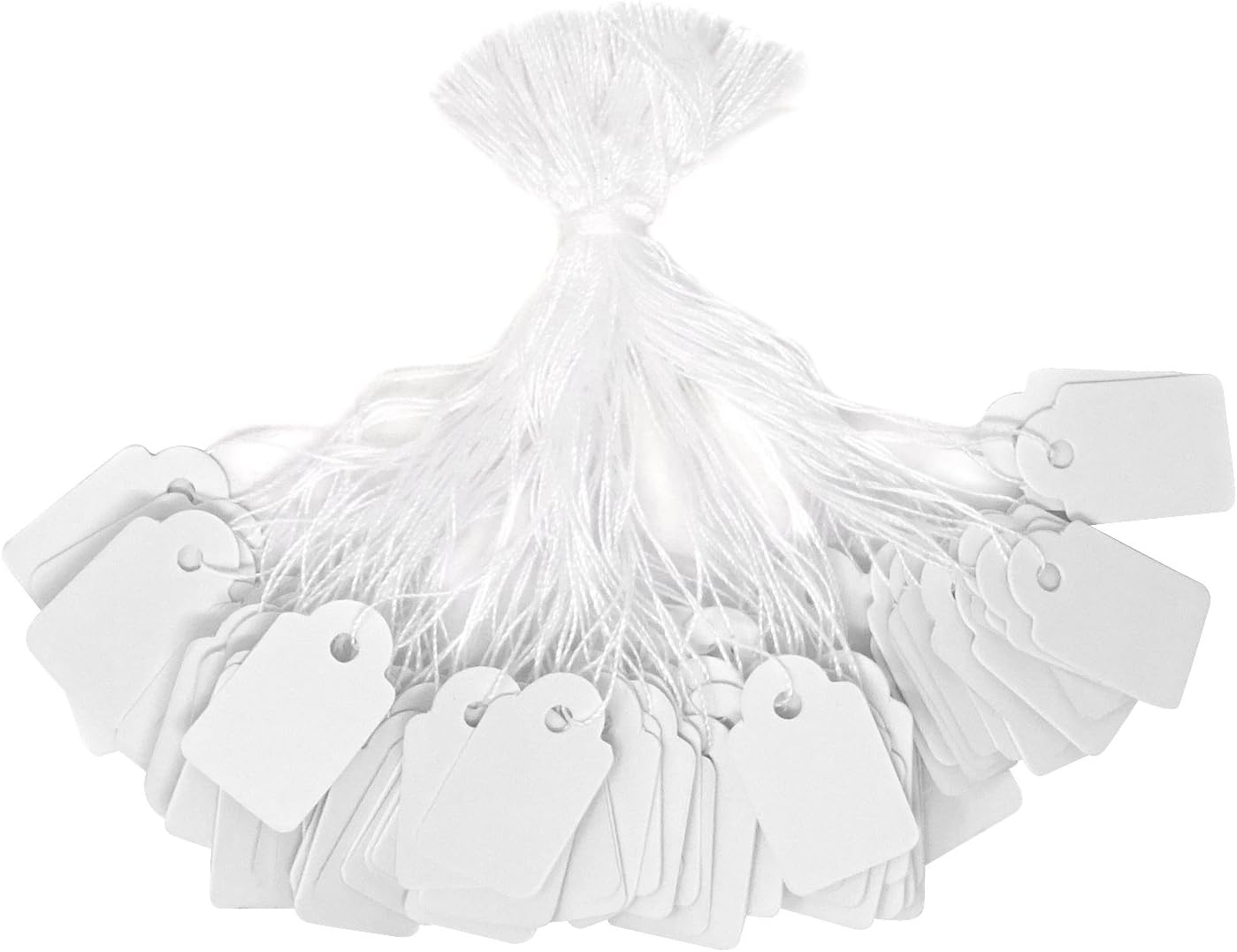 Amazon.com : Sowaka 100 Pcs Display Cards with String Writable Blank ...