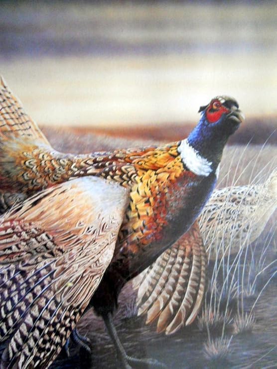 Amazon.com: Dave Samuelson Saturday Night Fever Limited Edition Framed ...