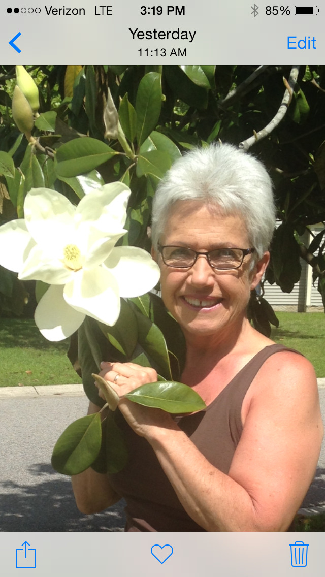 Amazon.com: Polly Rogers Brown: books, biography, latest update