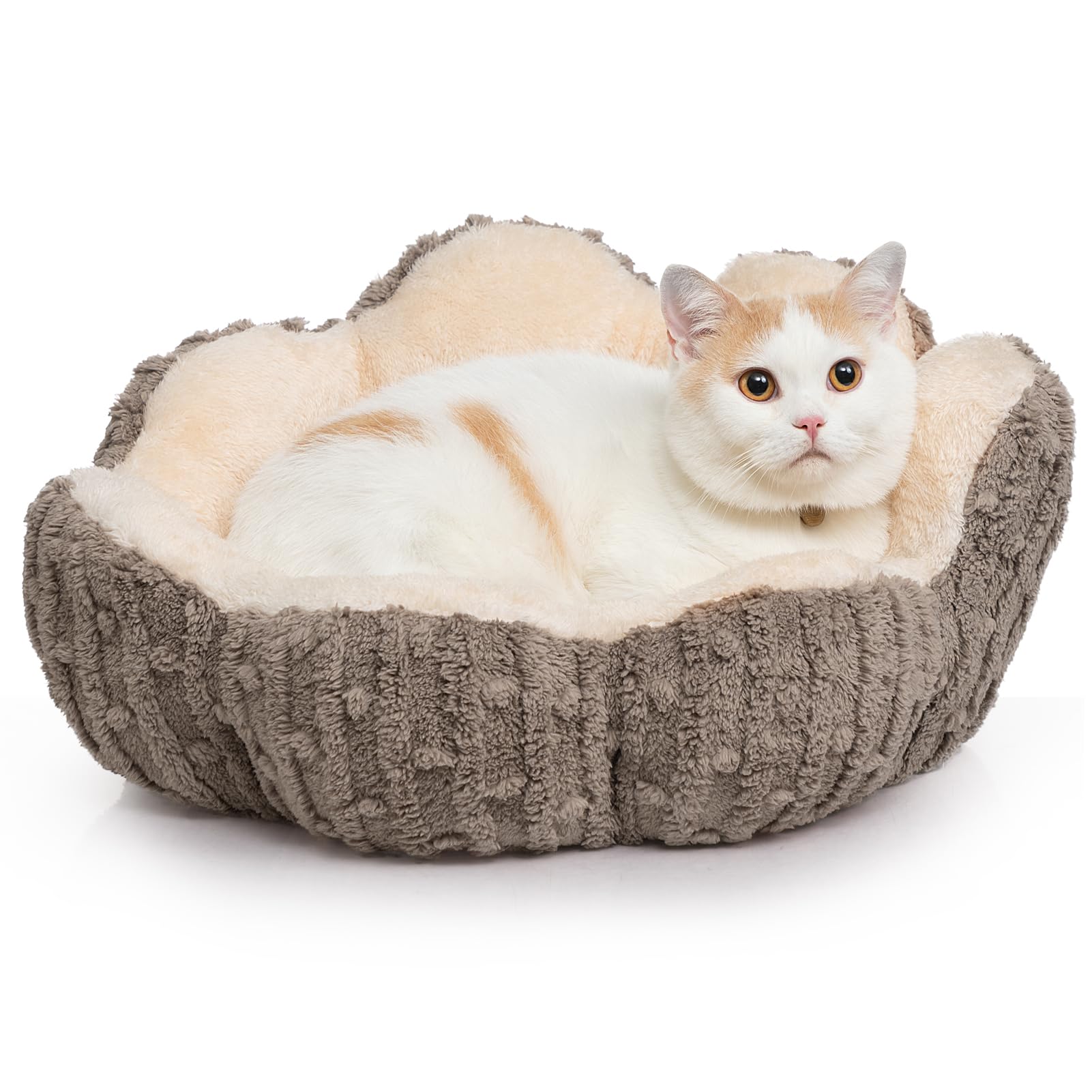 Amazon.com : Hollypet Cozy Cat Beds for Indoor Cats - Cute Cactus Pet ...