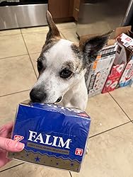 Amazon.com : Falim Sugarless Plain Gum, Mastic (20 Pack (100 Pieces ...