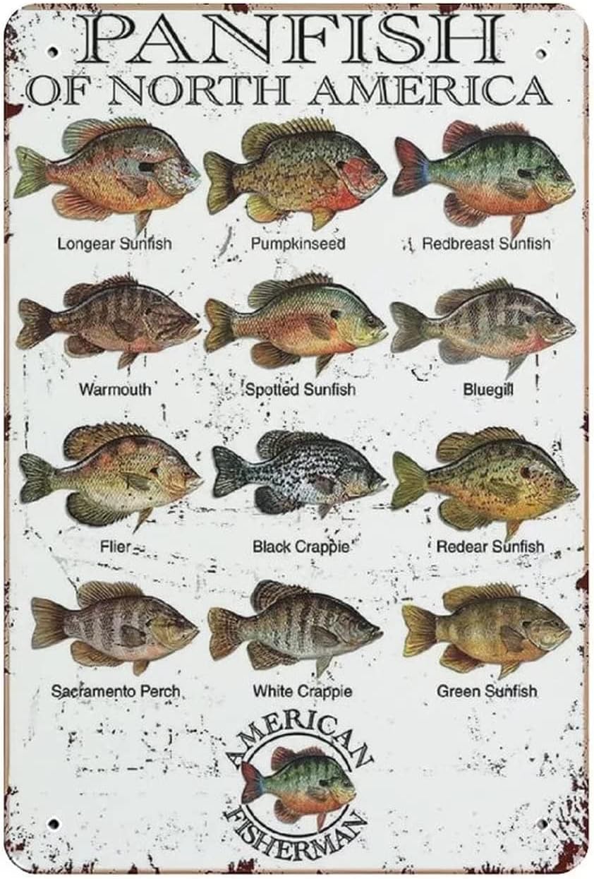 Amazon.com: Metal Tin Sign Panfish of North America Vintage Tin Poster ...