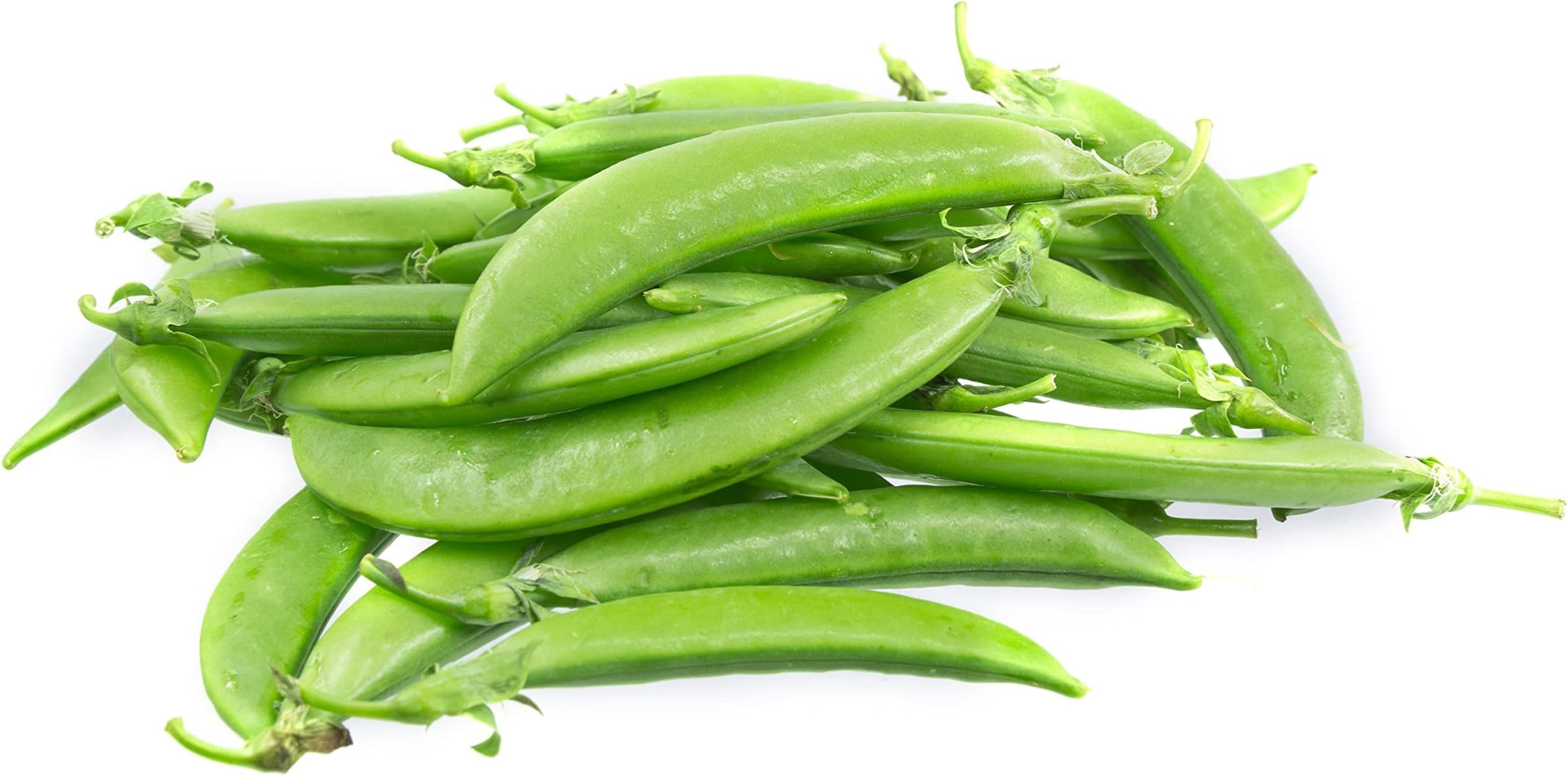 Vegetable Plants - Runner Bean 'Firestorm' - 16 x Large Plant Pack ...