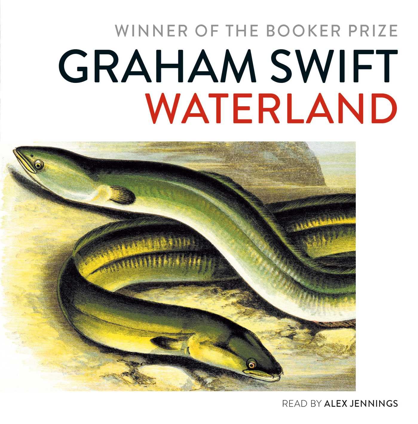 Waterland: Amazon.co.uk: Swift, Graham, Jennings, Alex: 9781398520356 ...