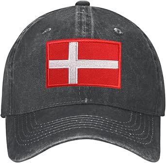 Amazon.com: Denmark Hat Embroidered Denmark Flag Baseball Caps for Men ...