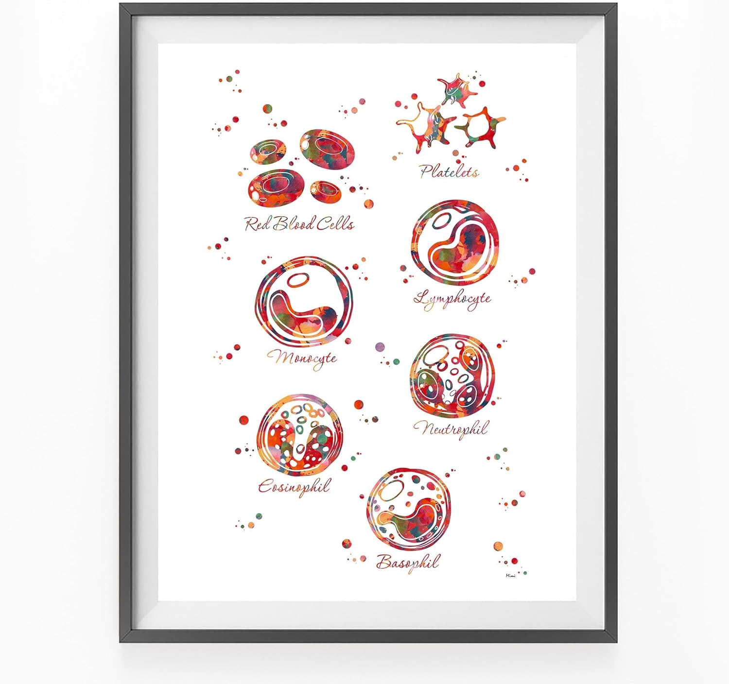 Amazon.com: Blood Cells Anatomy Watercolor Wall Art Hematology Poster ...