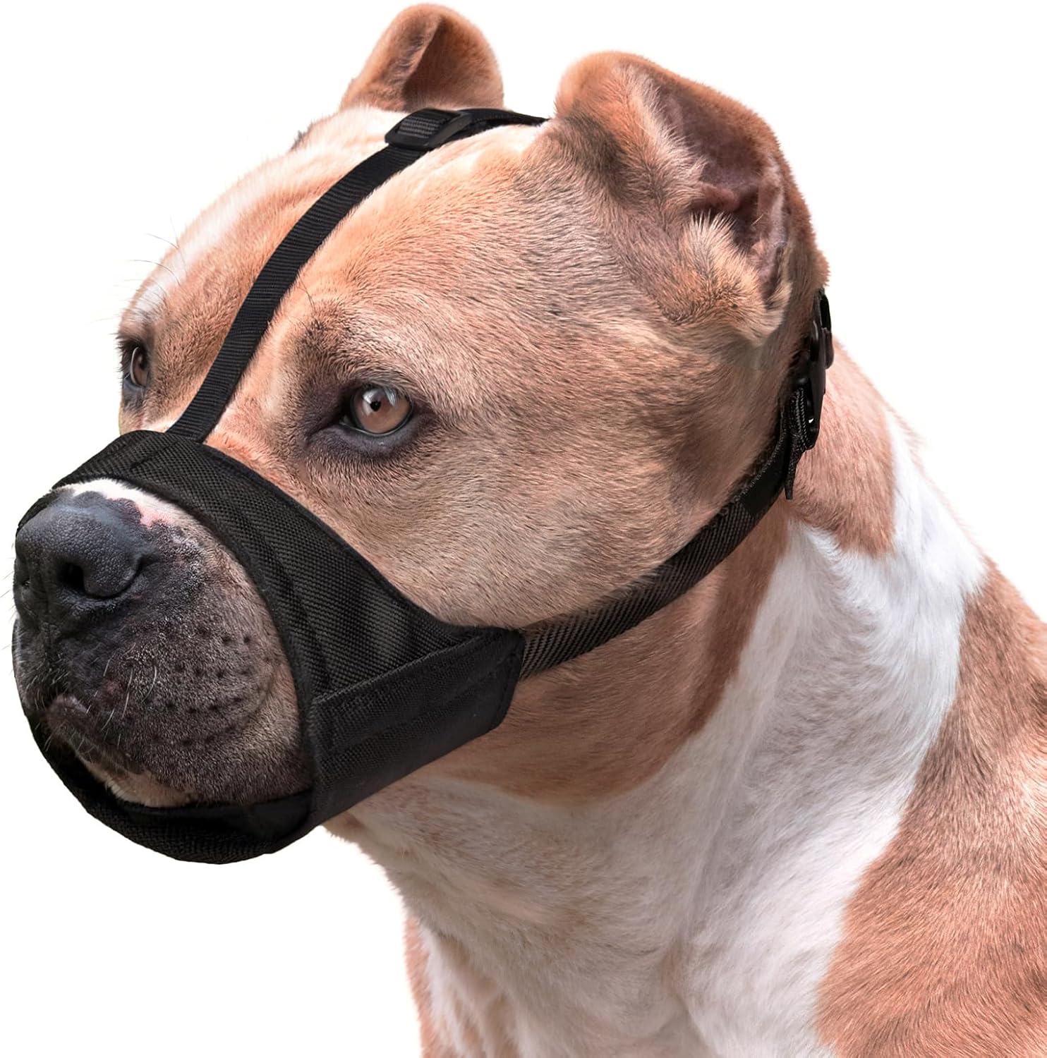Amazon.com : Mayerzon Pitbull Muzzle, Dog Muzzle with Anti-slip strap ...