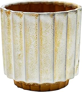 Amazon.com: Ivyline Planter, Ceramic, Mustard Reactive, H13cm x D13cm ...
