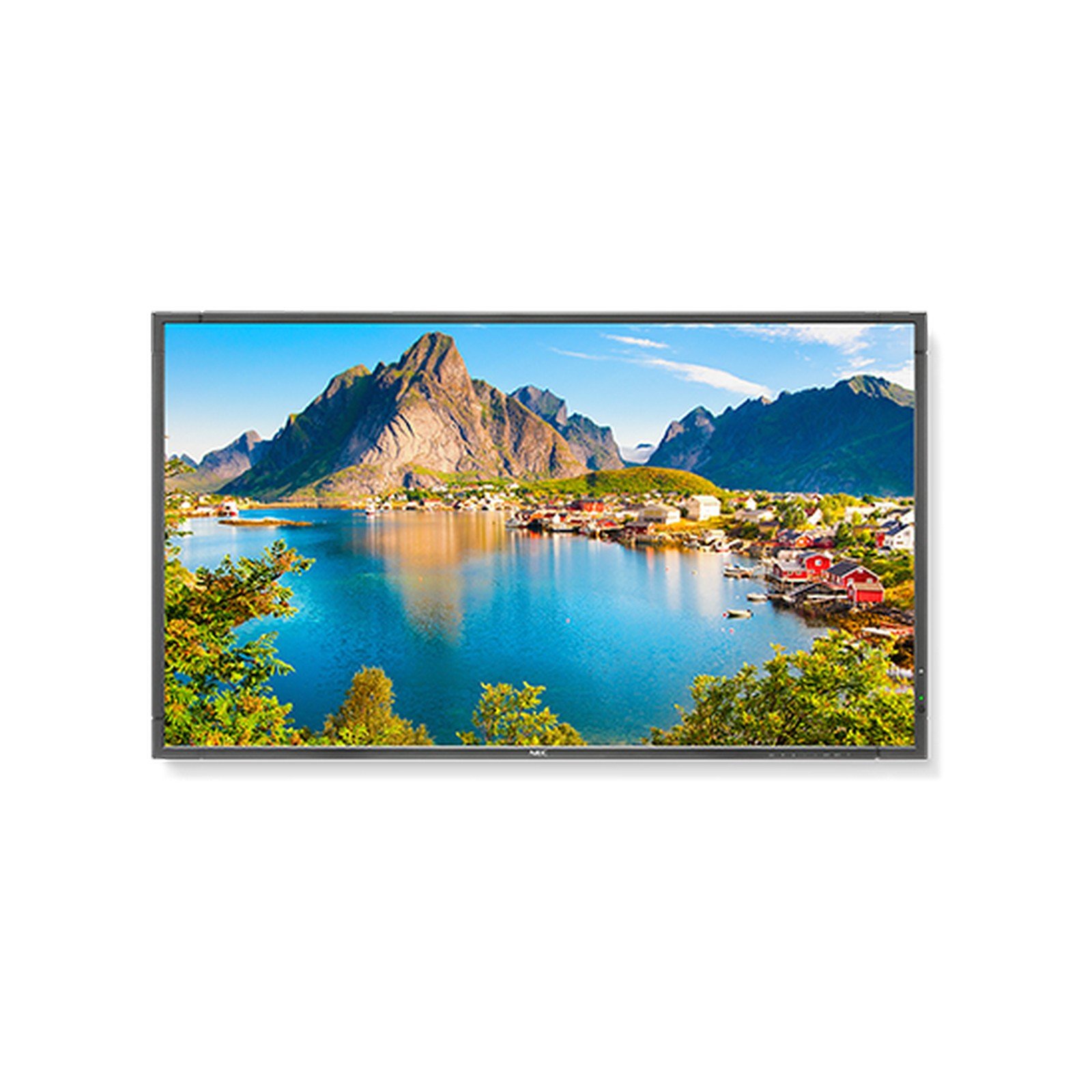 Amazon.com: NEC E805 | 80 inch LED Backlit Commercial Grade Display ...
