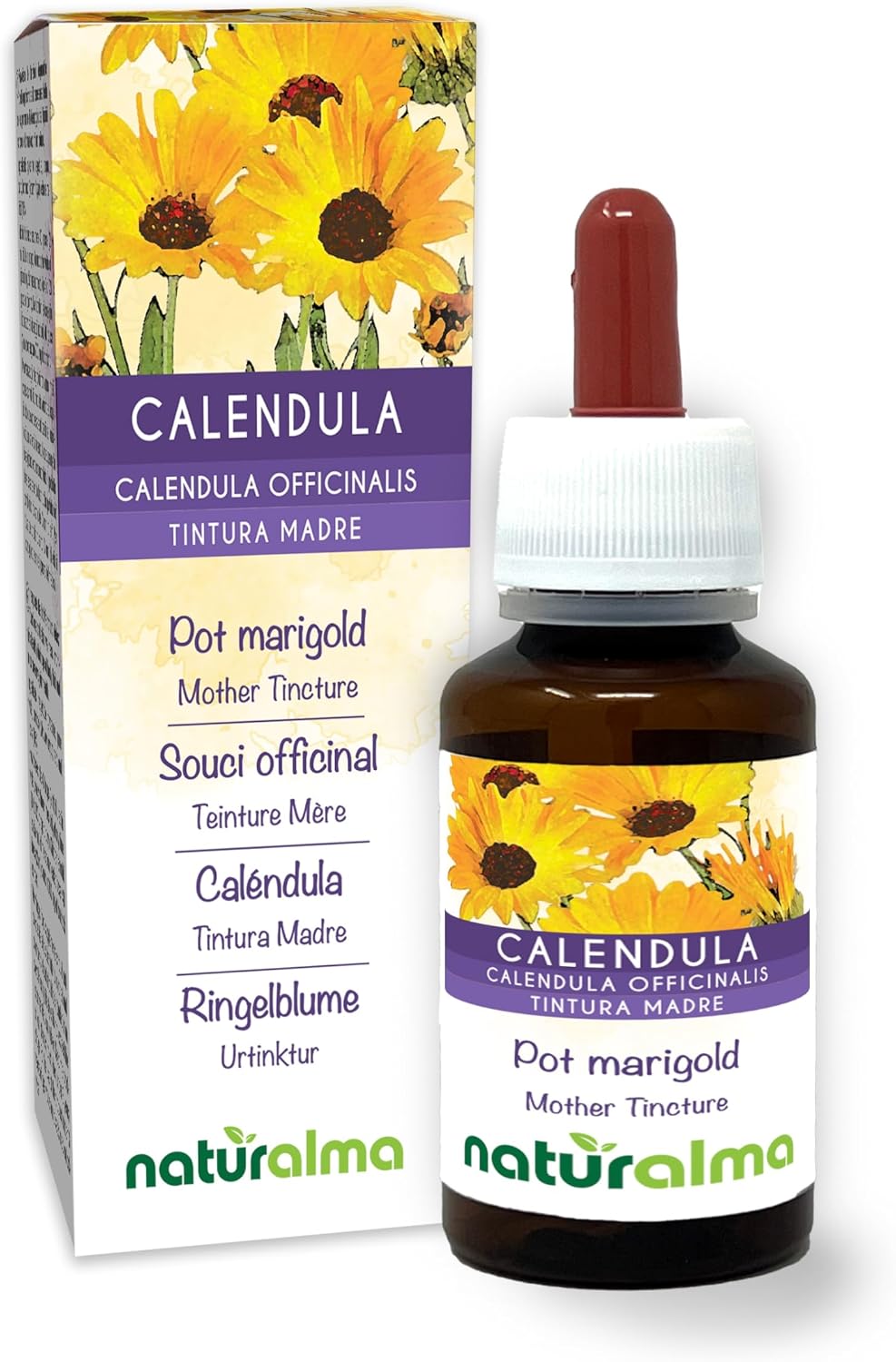 Pot Marigold (Calendula officinalis) Flower Heads Alcohol-Free Mother ...