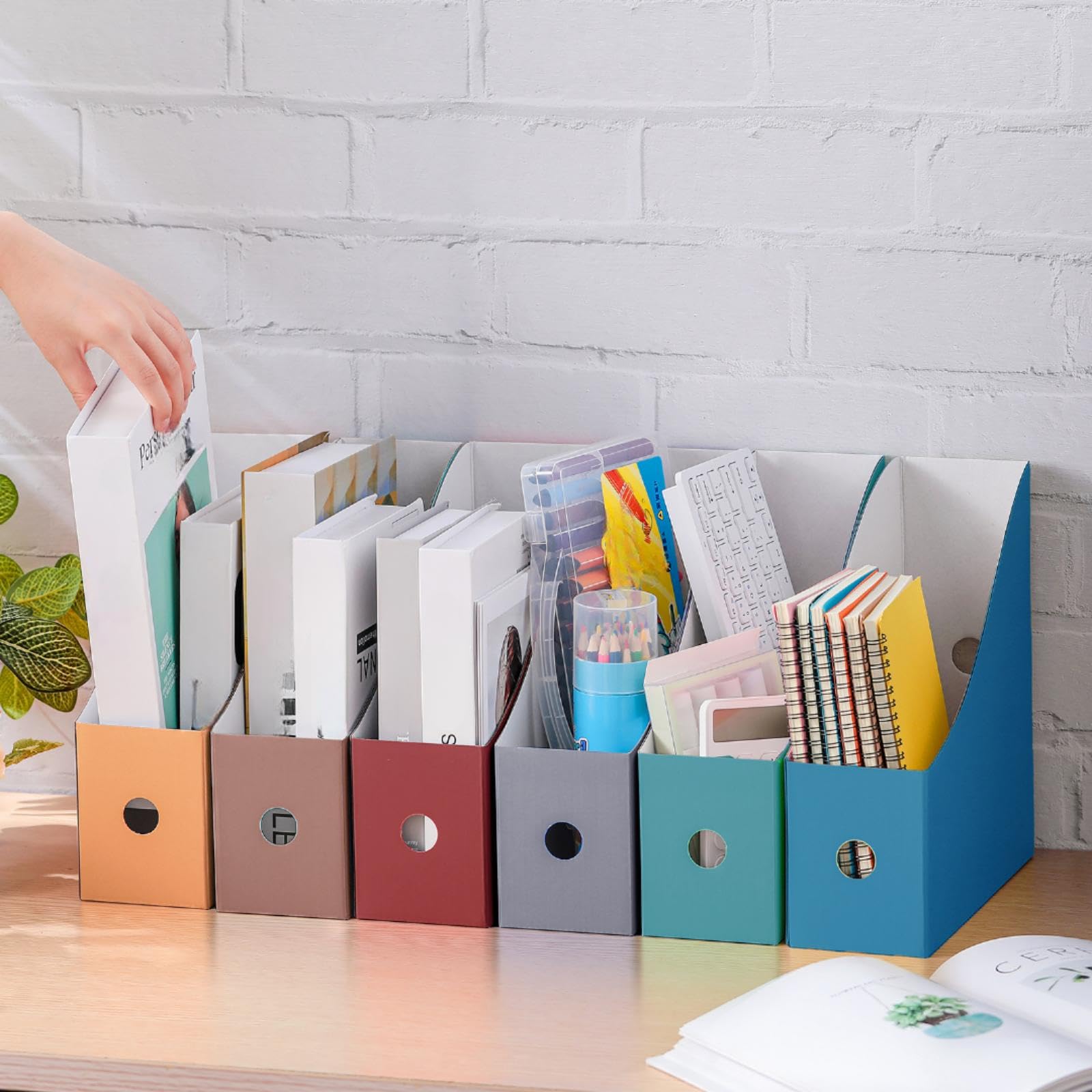 Snapklik.com : Colarr 24 Pcs Cardboard Magazine Holders 12 Colors ...