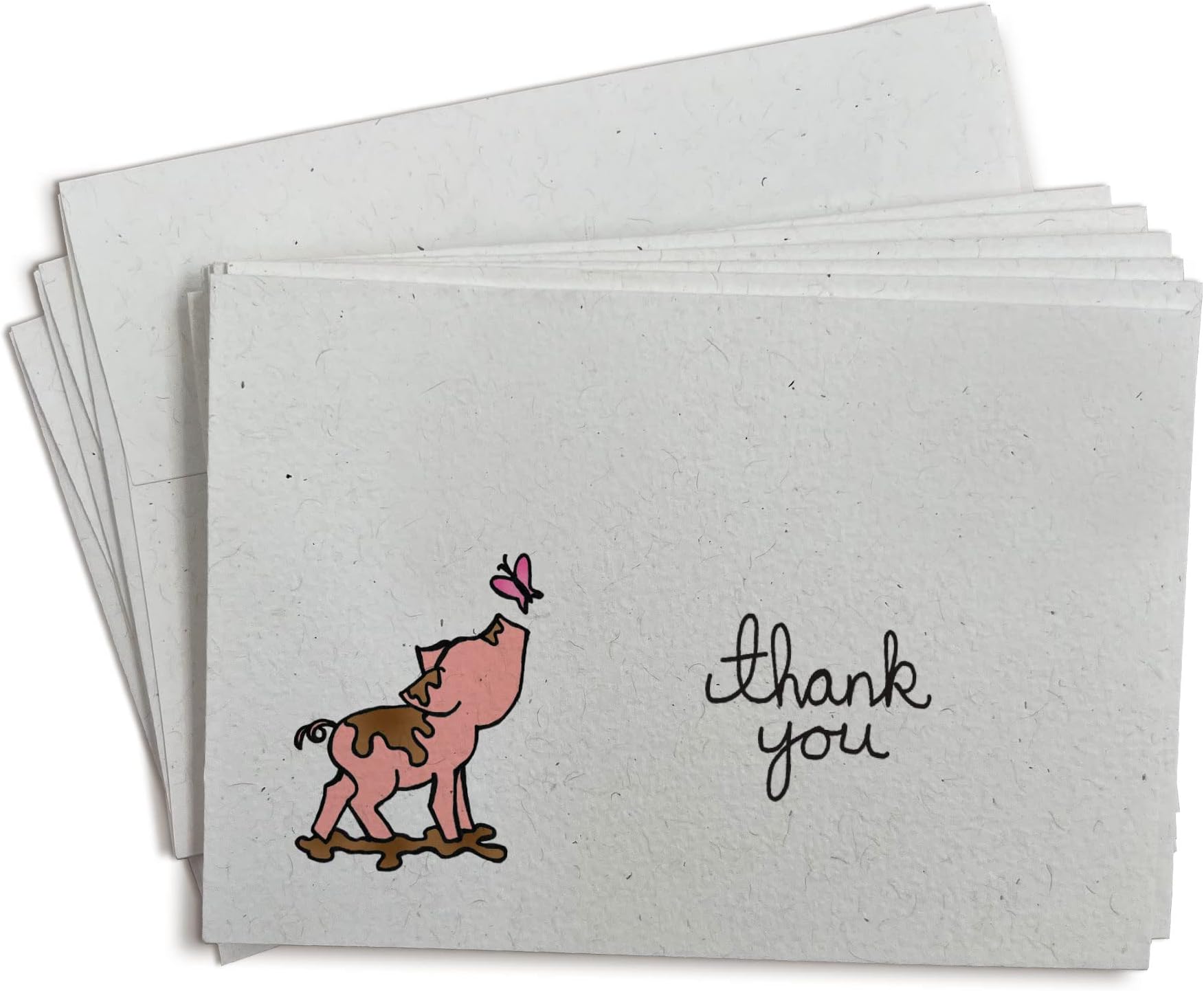 Amazon.com: Stonehouse Collection Duck Thank You Note Cards - Blank ...