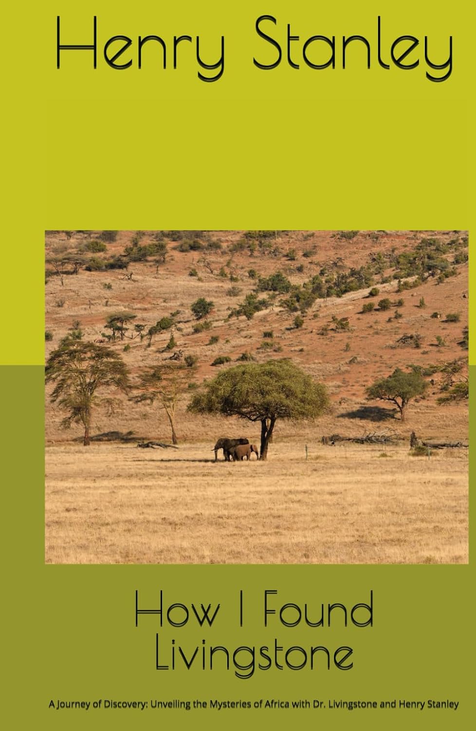 How I Found Livingstone: A Journey of Discovery: Unveiling the ...