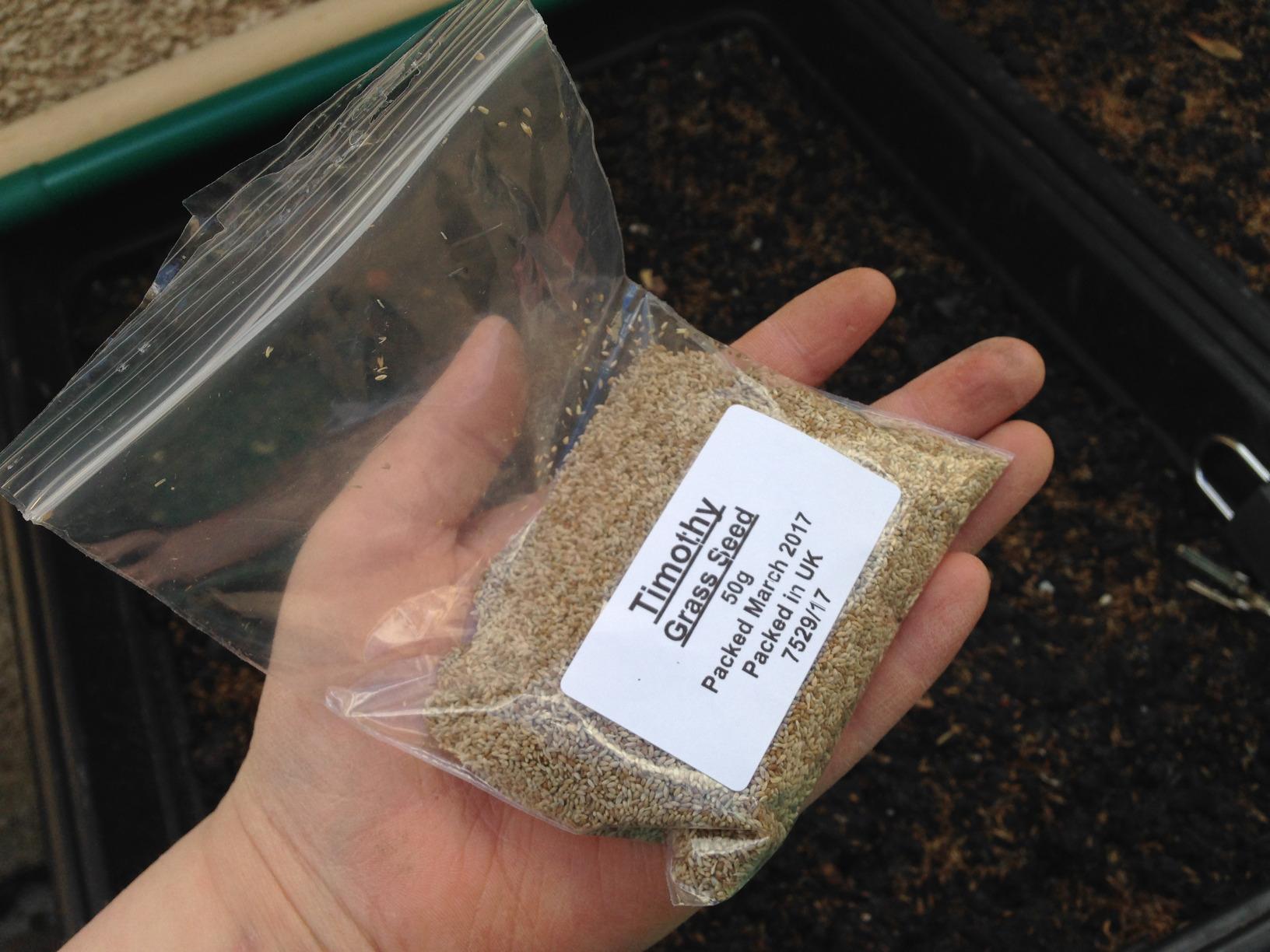 Timothy Grass Seed Tortoise Rabbit Horses (Phleum pratensis) 50g to 5kg ...
