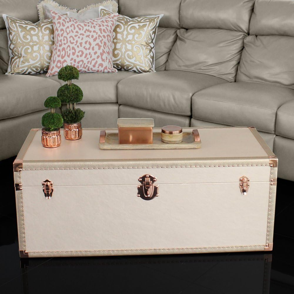Amazon.com | Seward Trunk SWDF5503T Broadway Furniture Large, Ivory ...